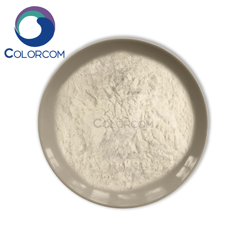 China Calcium Stearate | 1592-23-0 Manufacturer and Supplier | COLORKEM